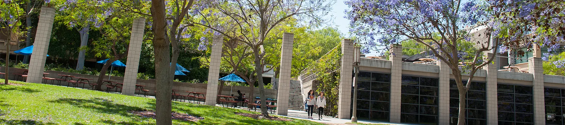 Animal Care & Use - UCI Office of Research