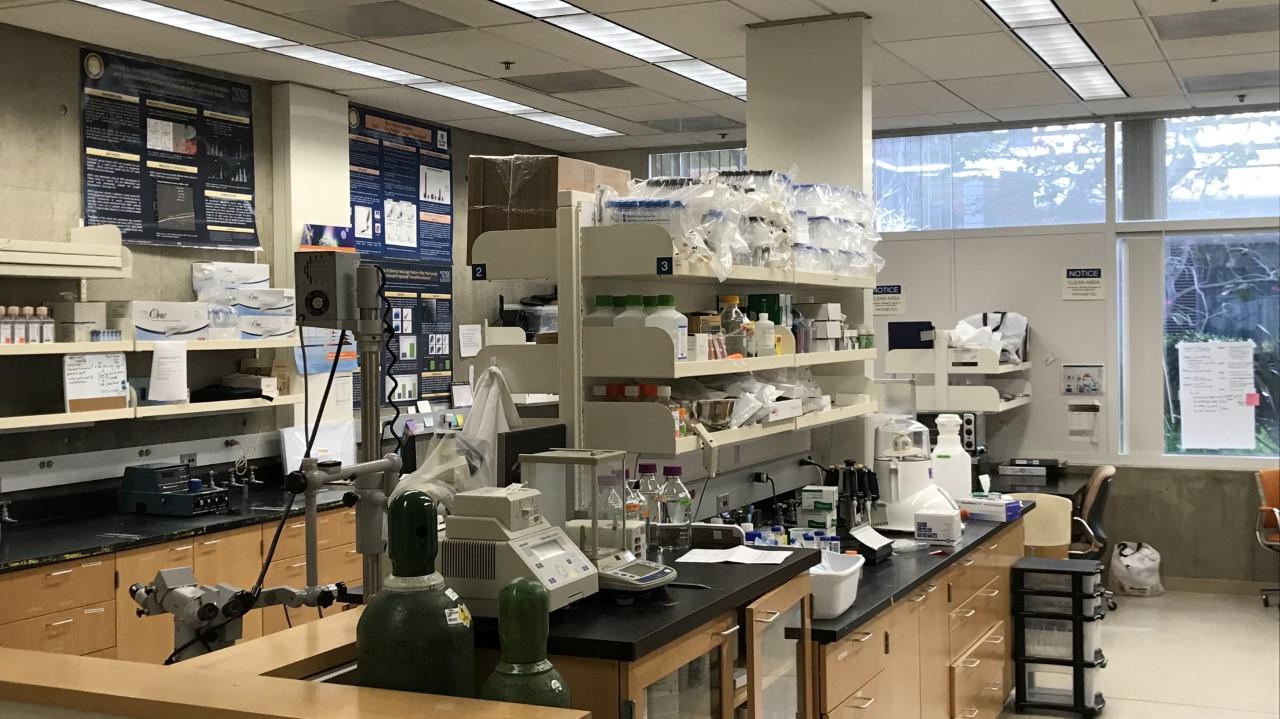 Center for Tissue Engineering - UCI Office of Research