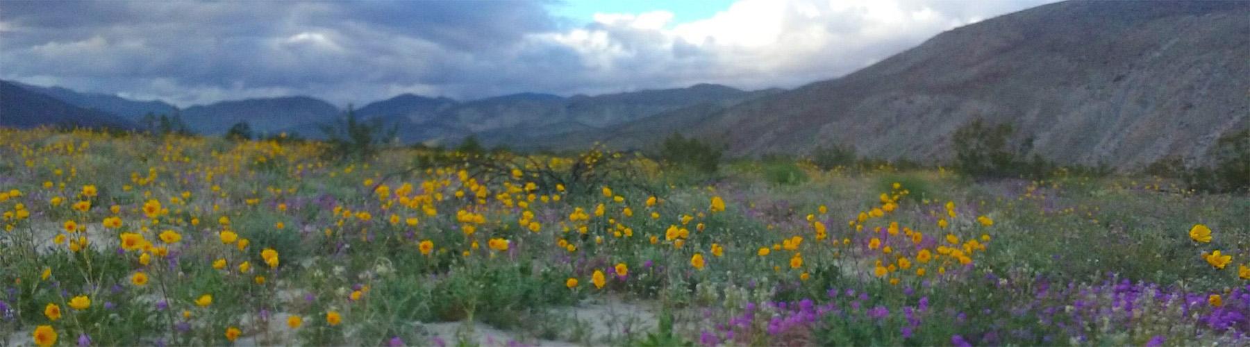 UCI Nature - UCI Office of Research